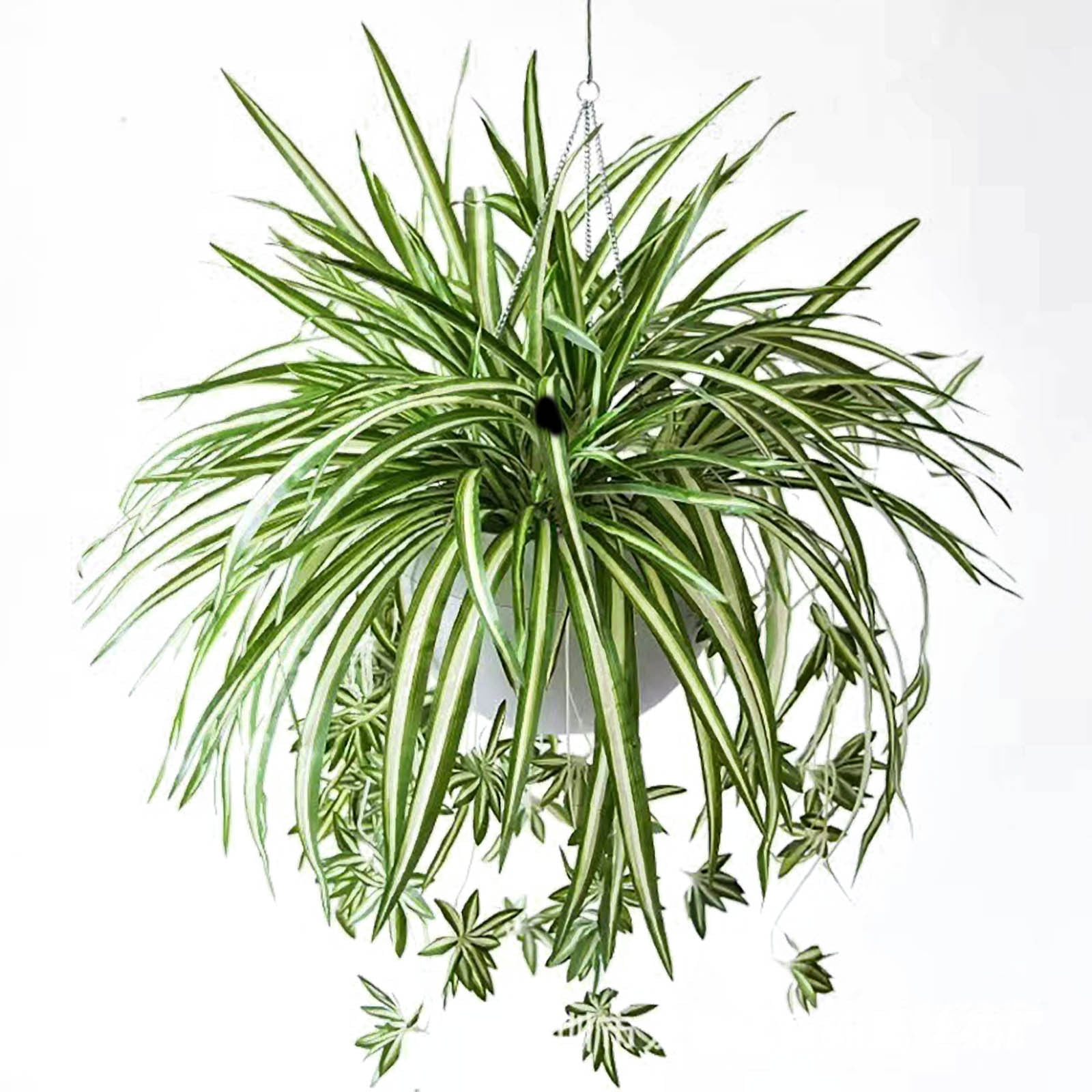 Artificial Spider Plant Leaves Fake Ferns, Large Artificial Boston Fern ...
