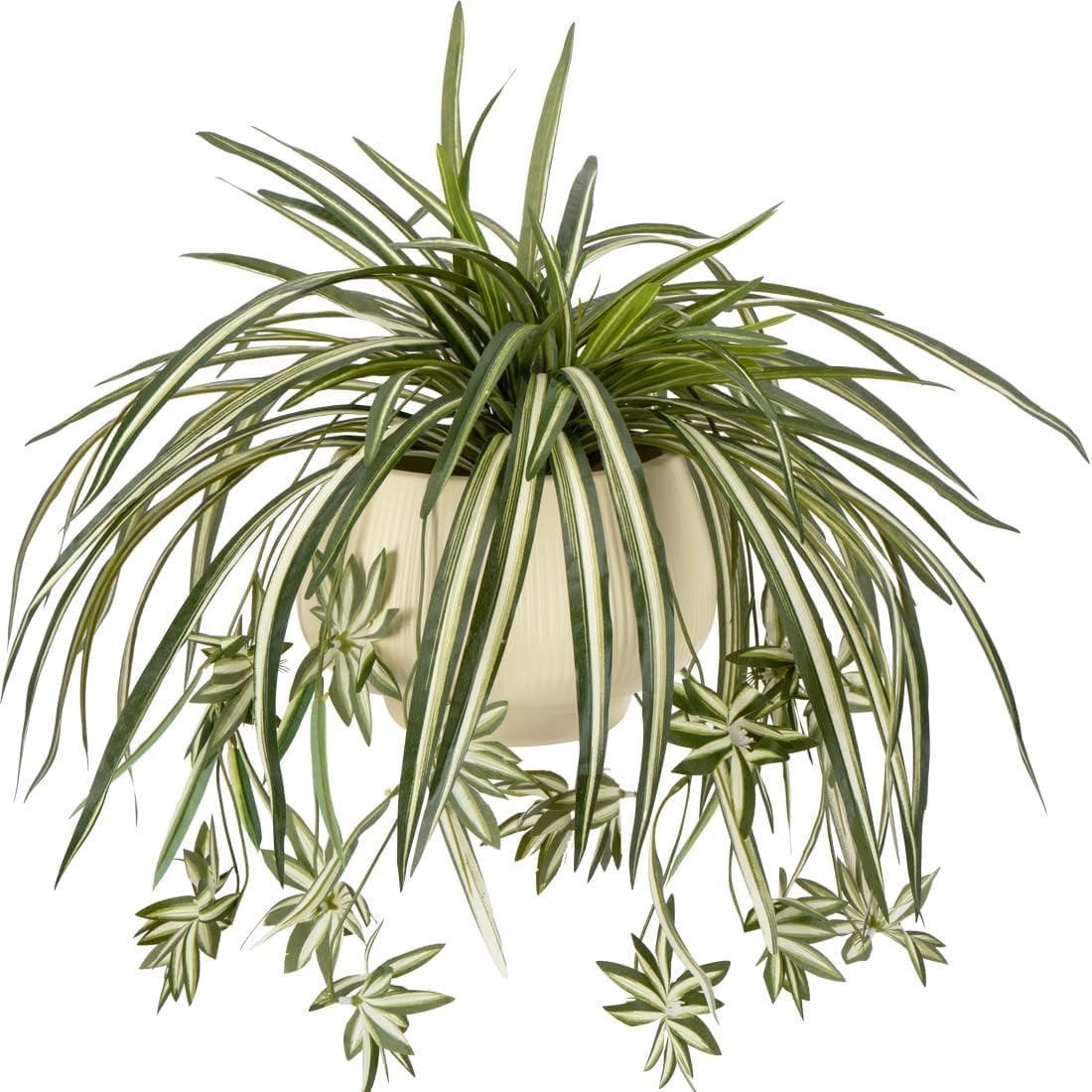 Artificial Spider Silk Faux Chlorophytum Comosum Greenery Spider Decor ...