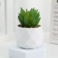 Artificial Succulent Bonsai Plants Simulation Succulents Mini Evergreen ...