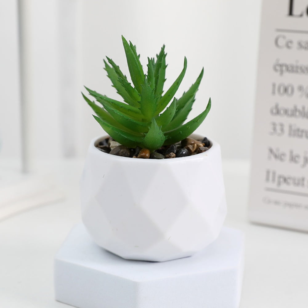 Artificial Succulent Bonsai Plants Simulation Succulents Mini Evergreen ...
