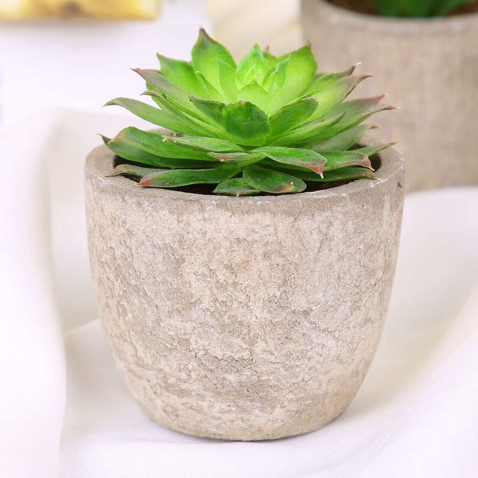 Artificial Succulent Flocking Plants Unpotted Mini Fake Succulents ...
