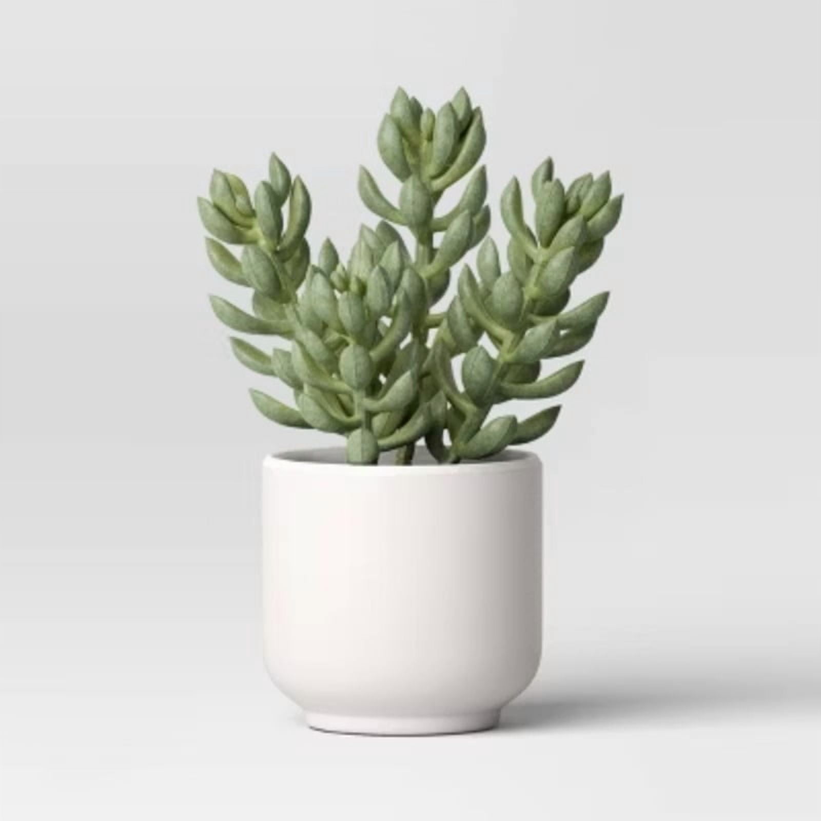 Artificial Succulent Plant - : Indoor Greenery, Faux Succulent in ...
