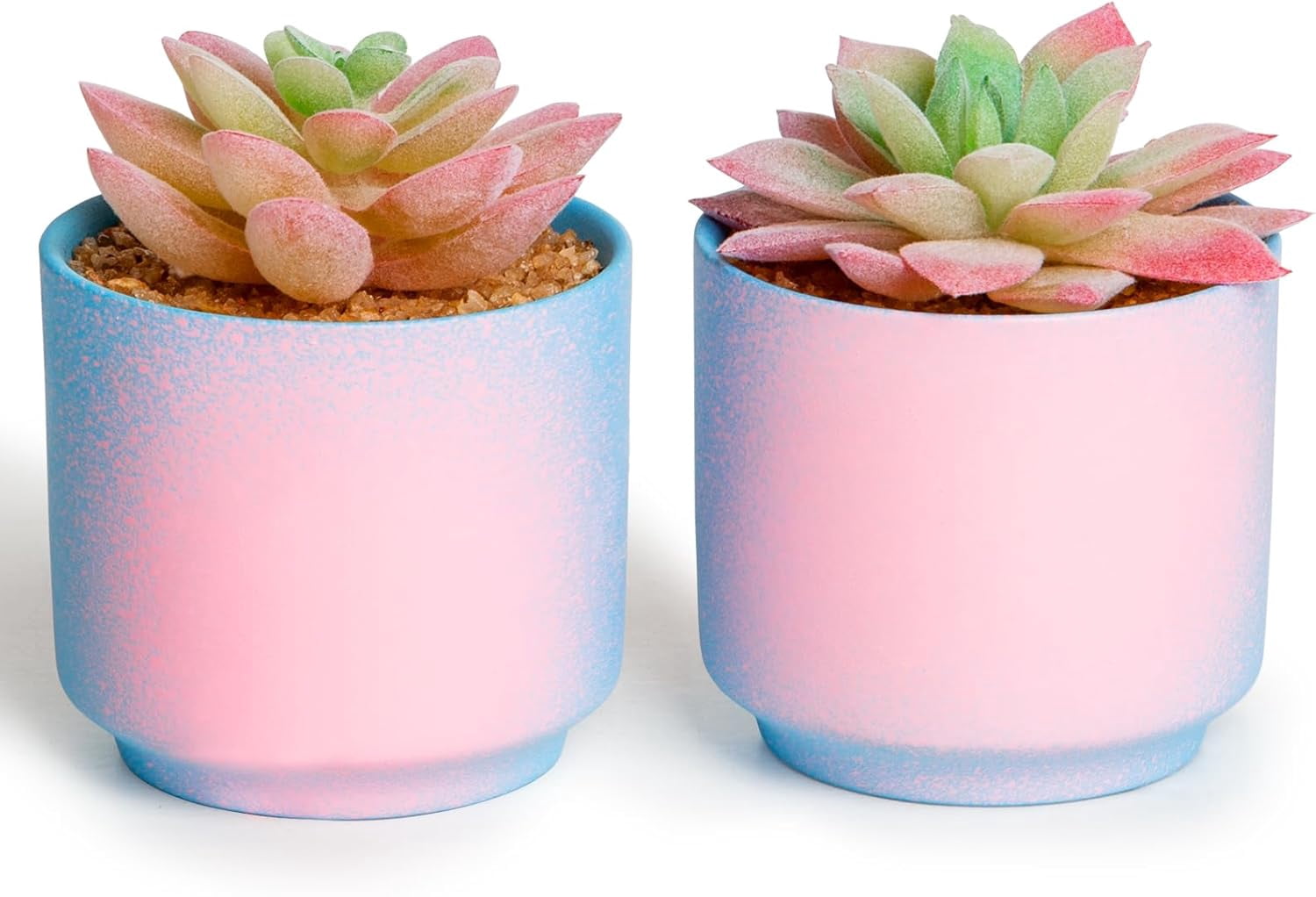 Artificial Succulent Plants in 2 Pink Ceramic Pots, Cute Fake Plants ...