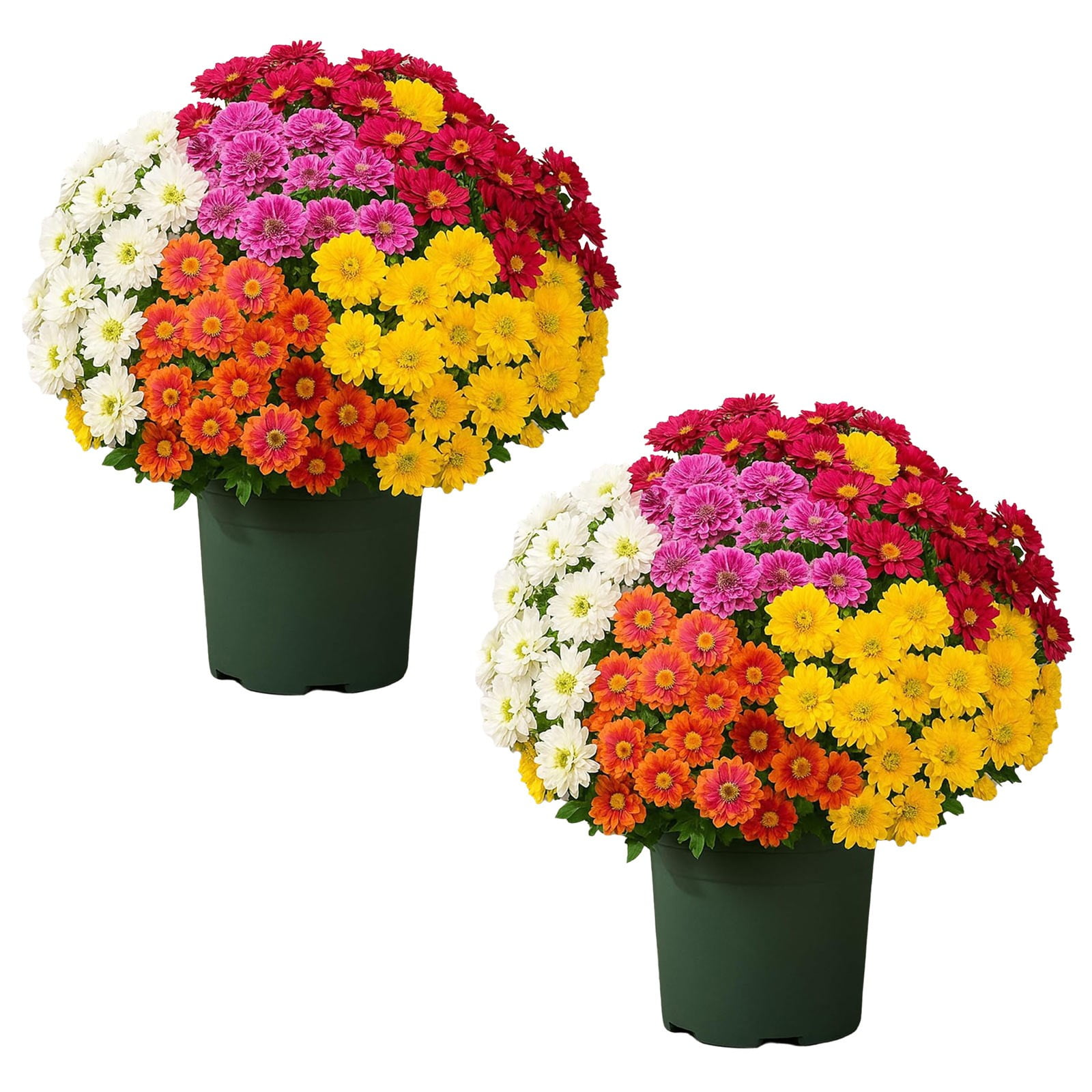 Artificial Sunset Mums,Luminousey Artificial Flowers,Outdoor Sunset Mums Flowers - Uv Resistant ...