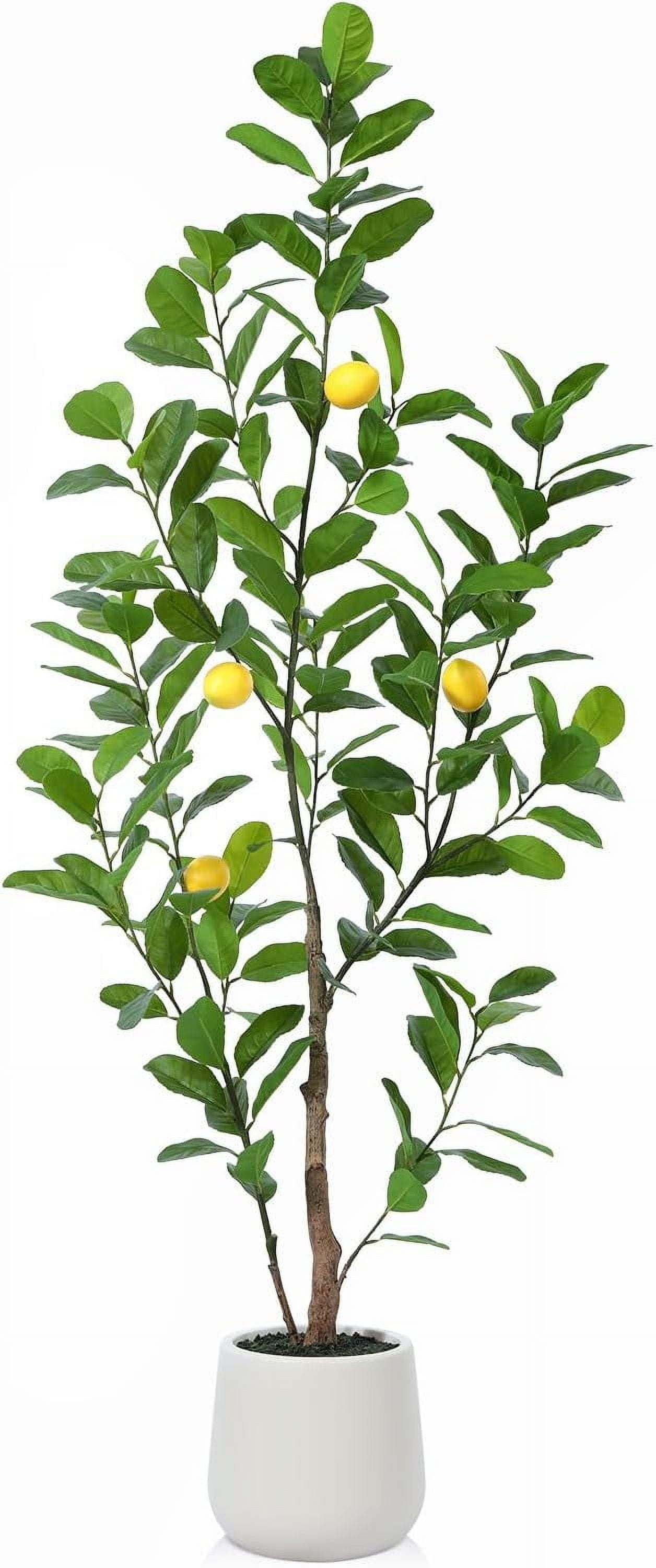 Artificial Tree, 5ft Tall Fake Lemon for Indoor Home Decor, Faux Lemon ...