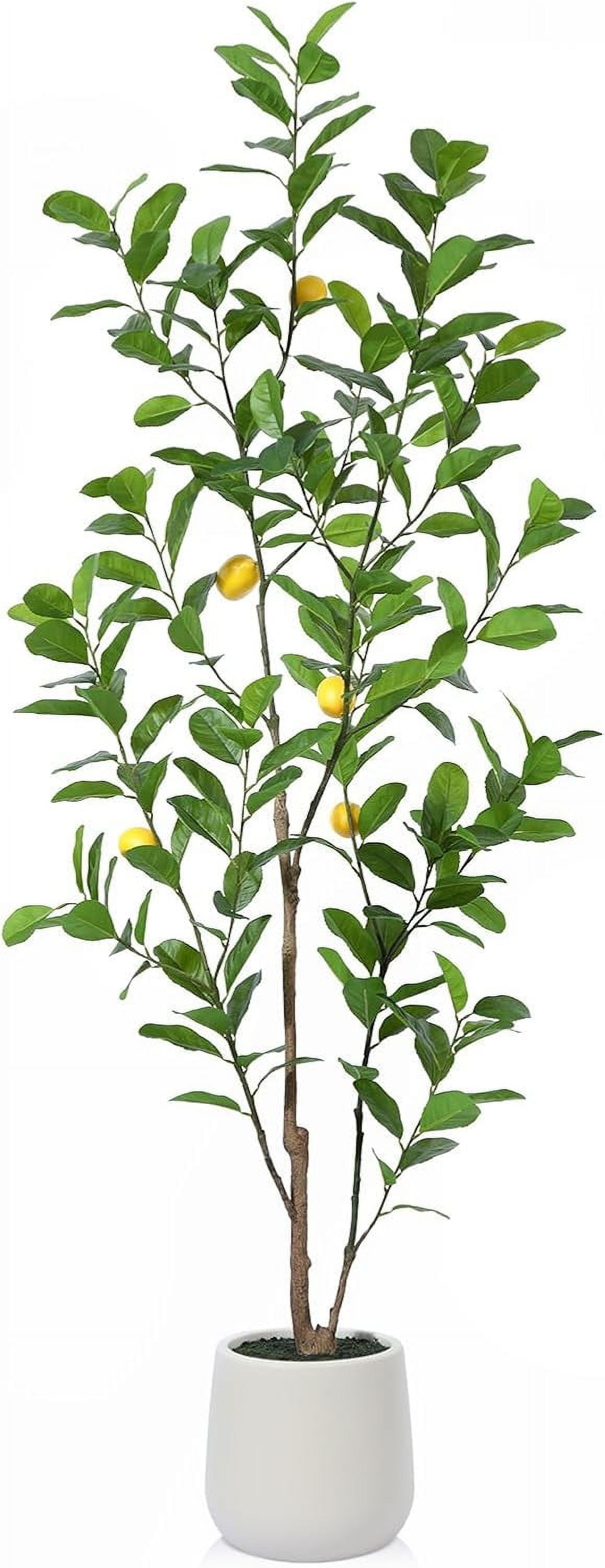 Artificial Tree, 6ft Tall Fake Lemon Plants for Indoor Home Decor, Faux ...