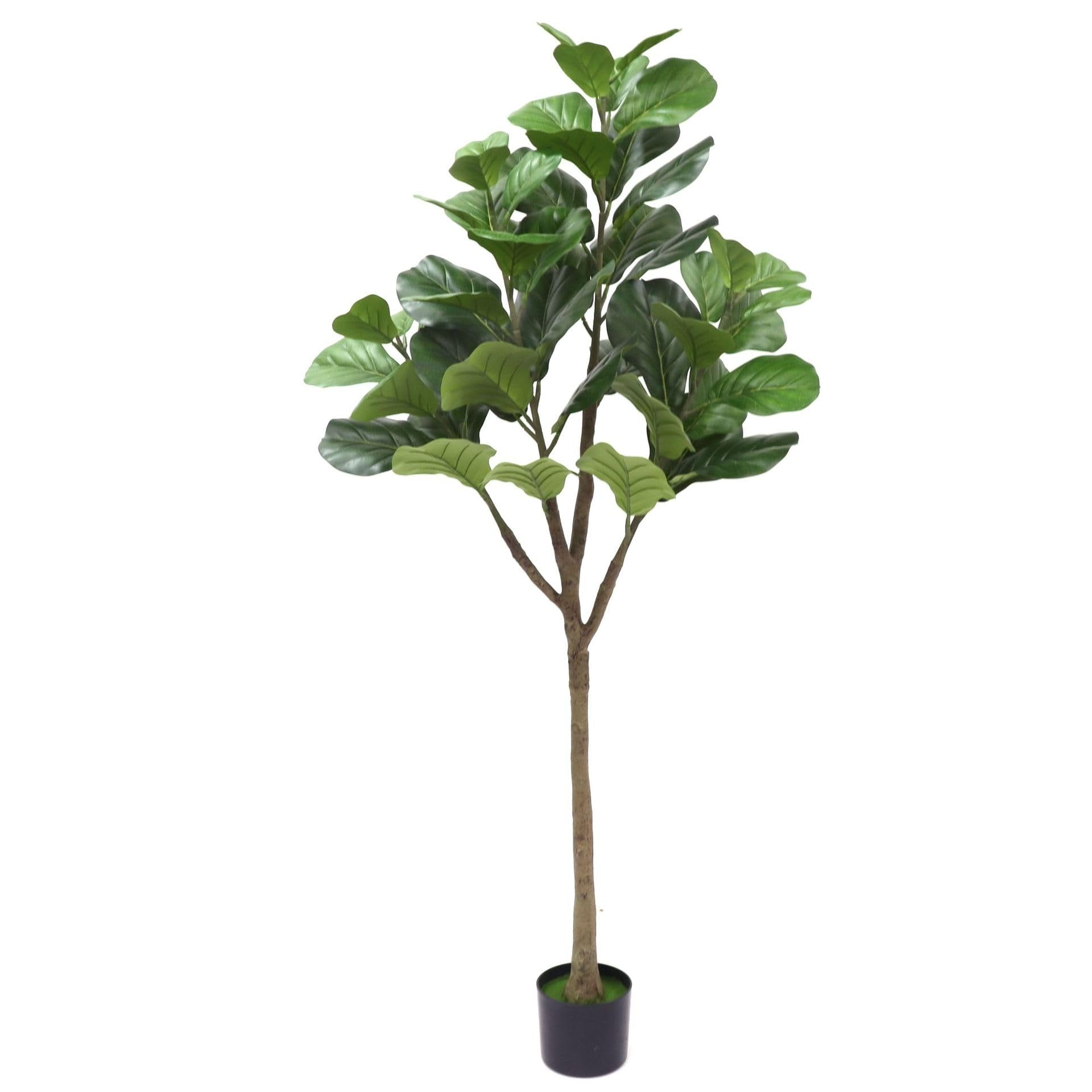 Artificial Tree, Indoor Faux Trees, 5/6FT Artificial Dracaena Tree ...