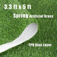 Zoysia Plugs - 200 Full Zoysia Grass Plugs for Landscaping, Gardening ...