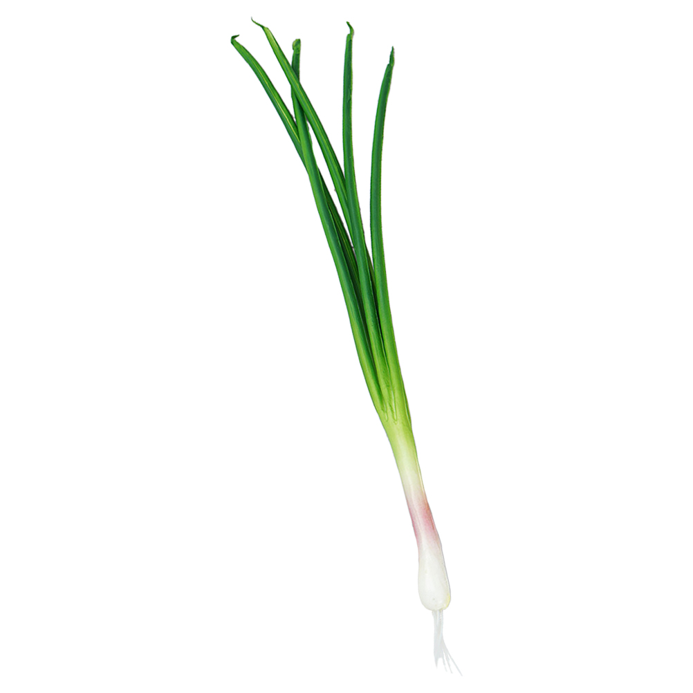 Raindrops MLINS Artificial Vegetable Model Green Onions Photo Prop ...