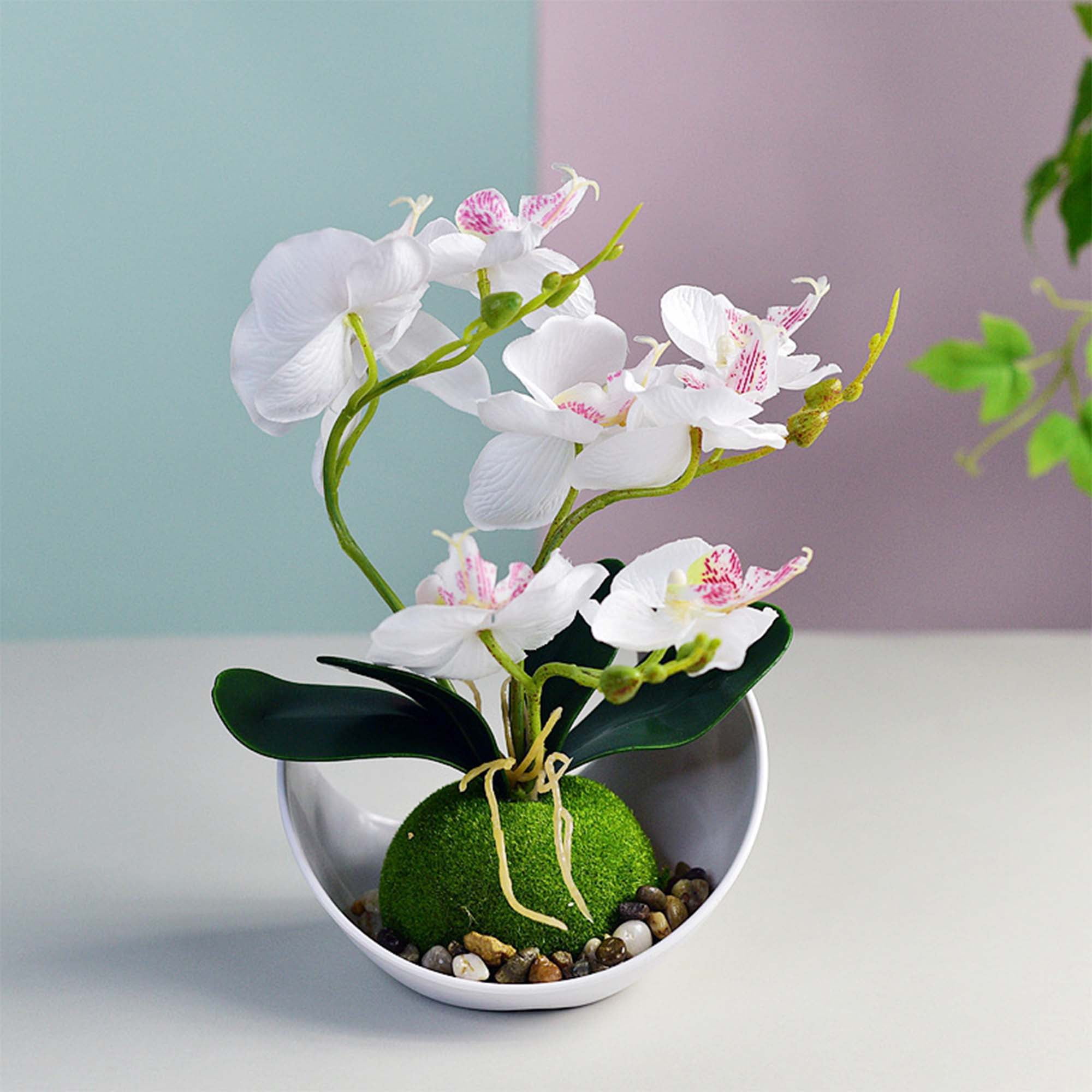 Artificial White Phalaenopsis Orchid Flower Arrangement in Sallow white ...