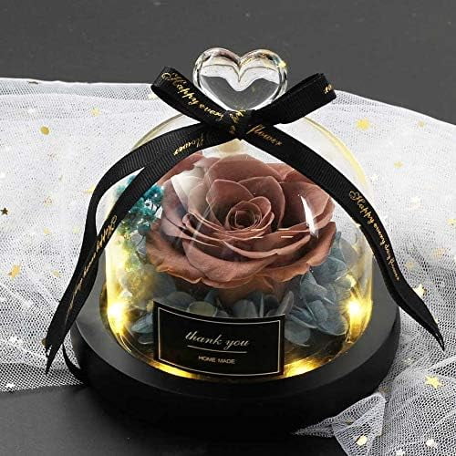 Artificial and Dried Flower Real Roses in Flask Glass Dome Real Rose ...