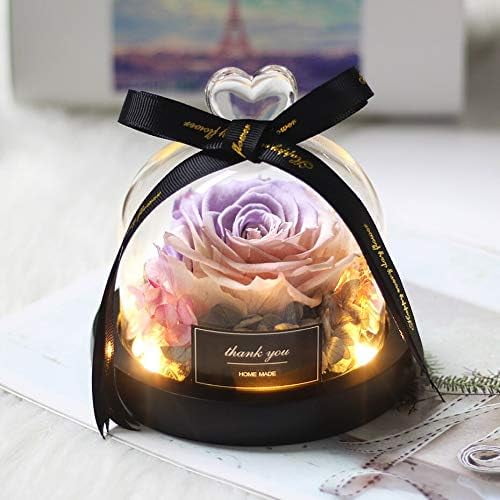 Artificial and Dried Flower Real Roses in Flask Glass Dome Real Rose ...