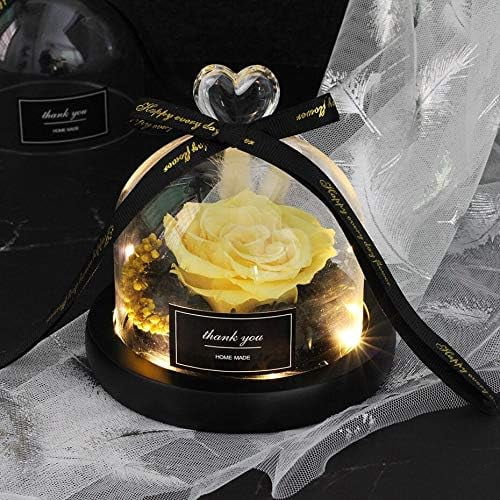 Artificial and Dried Flower Real Roses in Flask Glass Dome Real Rose ...