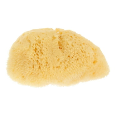 Royal Brush Artist's Sponge, Caribbean, Jumbo - Walmart.com