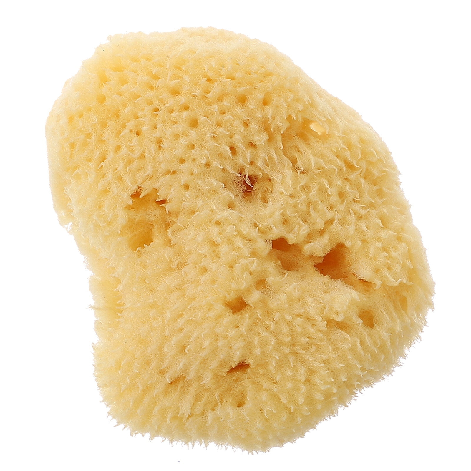 Kids Sponge Painting Set: Sea Paint Brush, Natural Art Stenciling ...