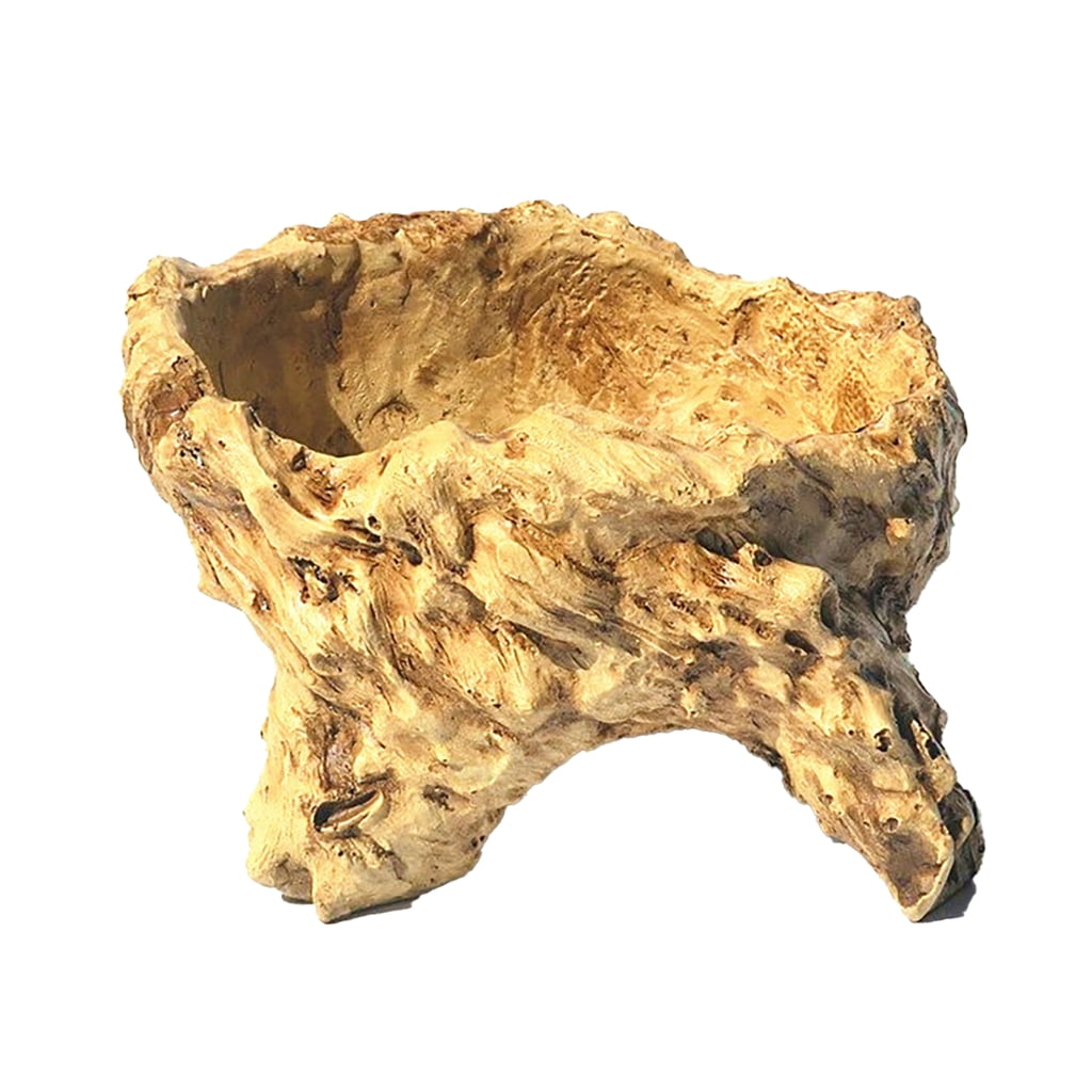 Artistic Cement Flowerpots with Tree Root Designs for Creative Office Home Decoration Balcony ...