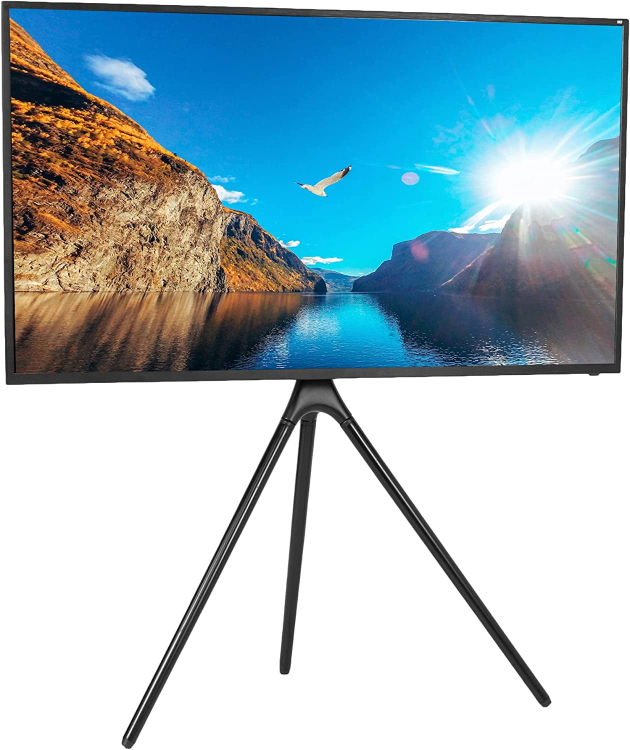 Artistic Easel 45 to 65 inch LED LCD Screen, Studio TV Display Stand ...