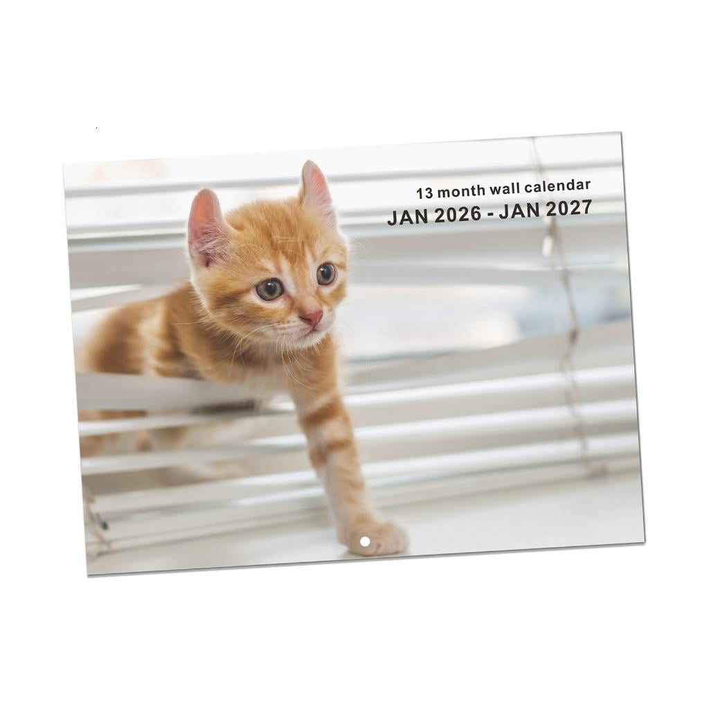 Artistic Feline Wall Calendar 2026 Thick Recycled Paper Clear Numbering ...