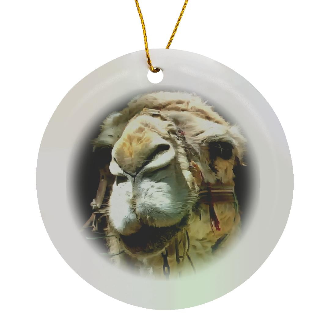 3drose, Artistic Head Portrait of Haughty Looking Camel with Goofy ...