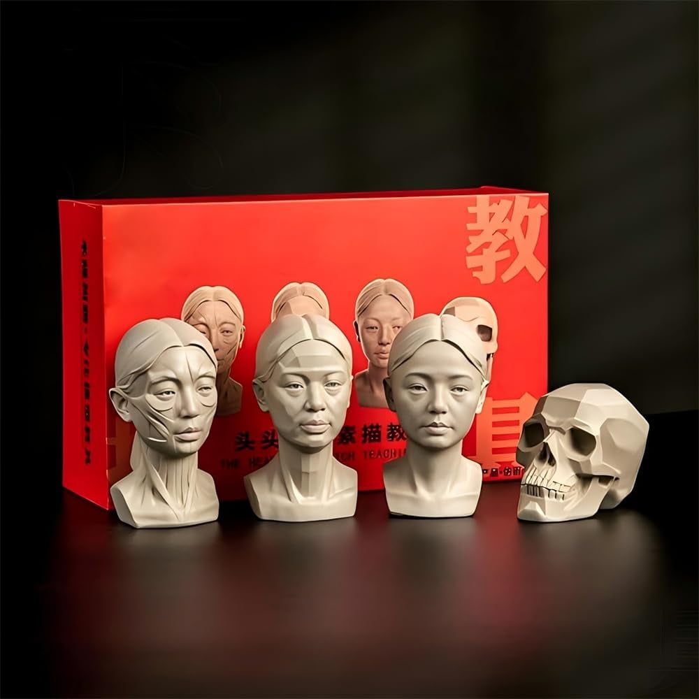 Artists Head Models Set - 4PCS Planar, Muscle, Skull & Original Head ...
