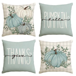 WinHome Blue Gray Pumpkin Watercolor Throw Pillow Case Cases Cover ...