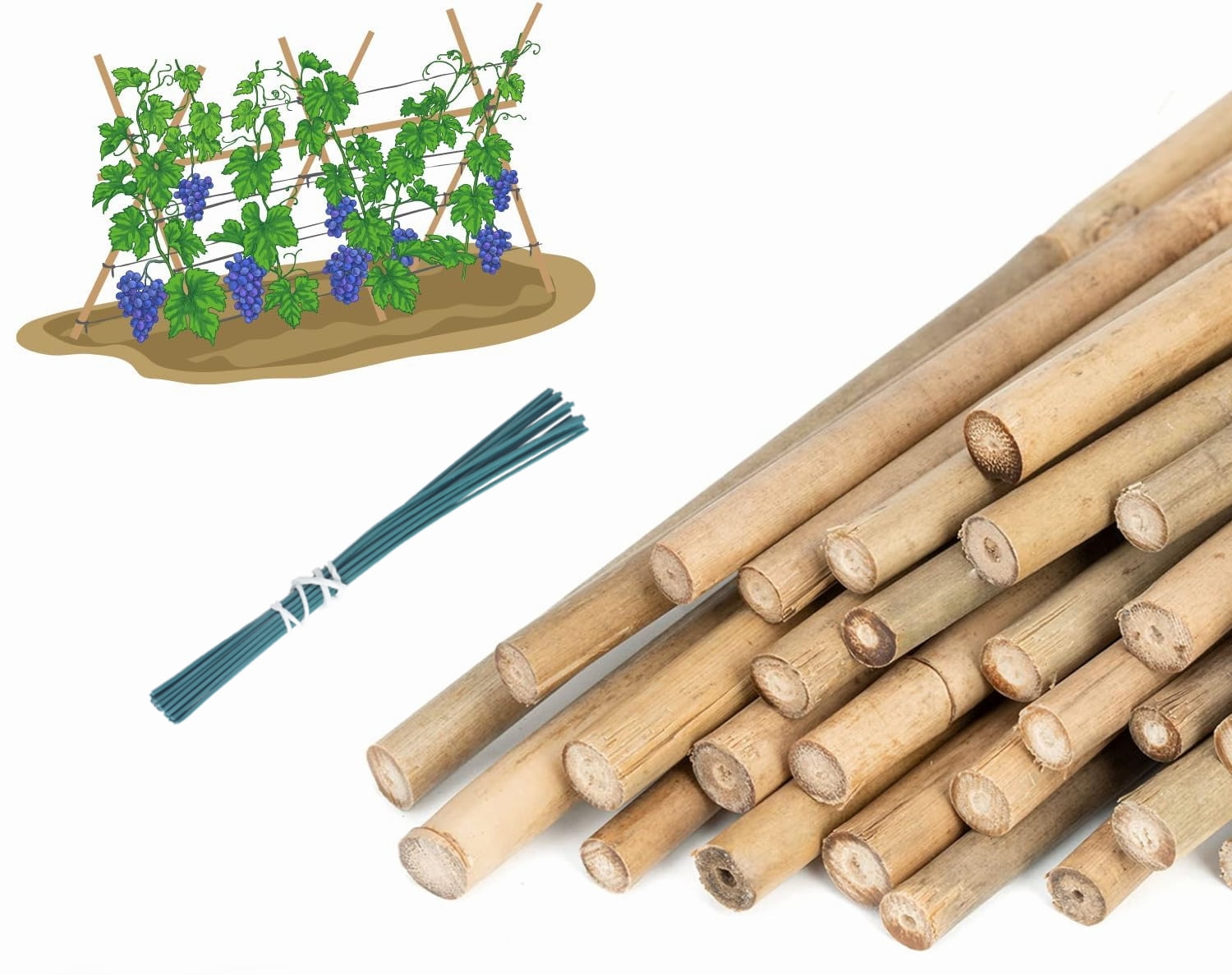 Artrylin 20Pcs Natural Bamboo Stakes with 20Pcs Green Ties，45cm Eco ...