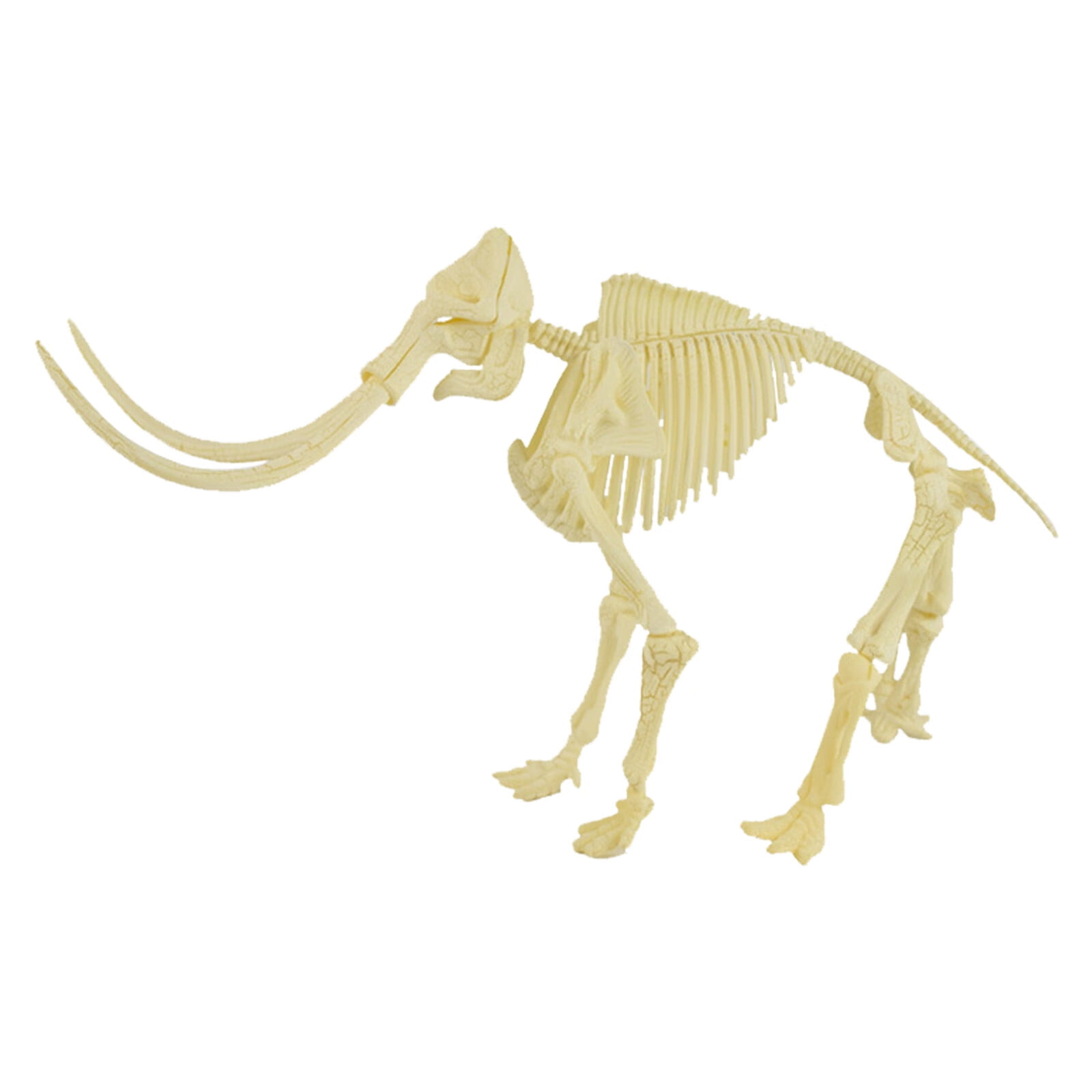 Arts And Crafts Diy Dinosaur Skeleton Assorted Dinosaur Skeleton Toy ...