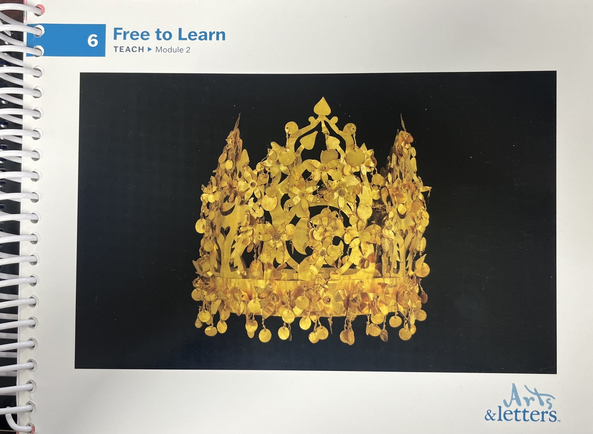 Arts & Letters: Free to Learn, 6 Module 2, c. 2025, 9798888112205 ...