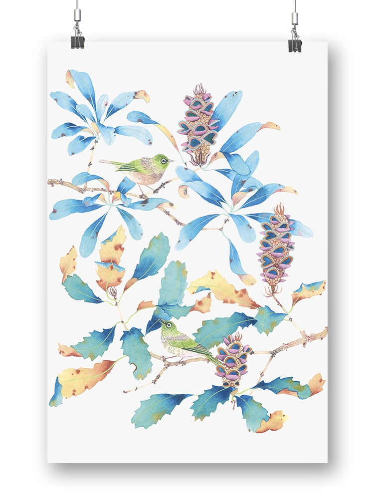 Artshine Banksias And Waxeyes Poster - Gabby Malpas Designs, Poster Print 17 x 25.5 in - Walmart.com