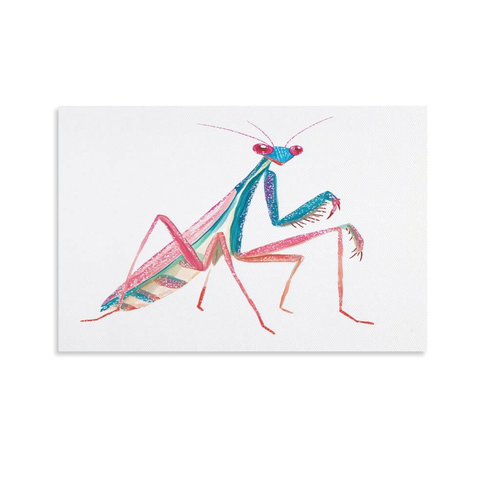 Artwork Wall Art For Kitchen Illustration of A Praying Mantis Canvas ...