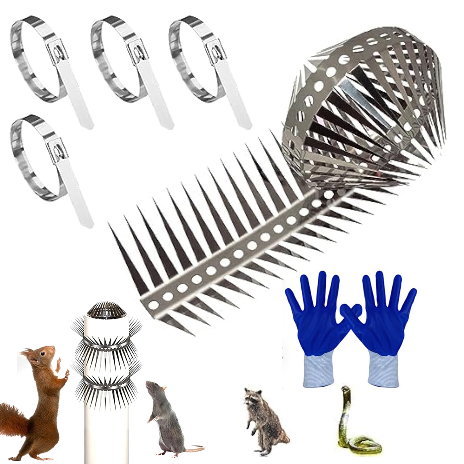Aruwei 1 Set Anti-Rat Spikes Stainless Steel Bird Deterrent Spikes with ...