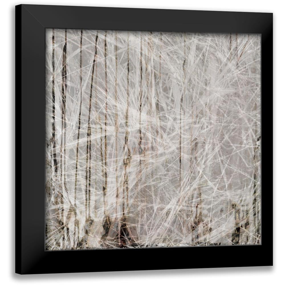 Aryai, Sia 15x15 Black Modern Framed Museum Art Print Titled - Neutral ...