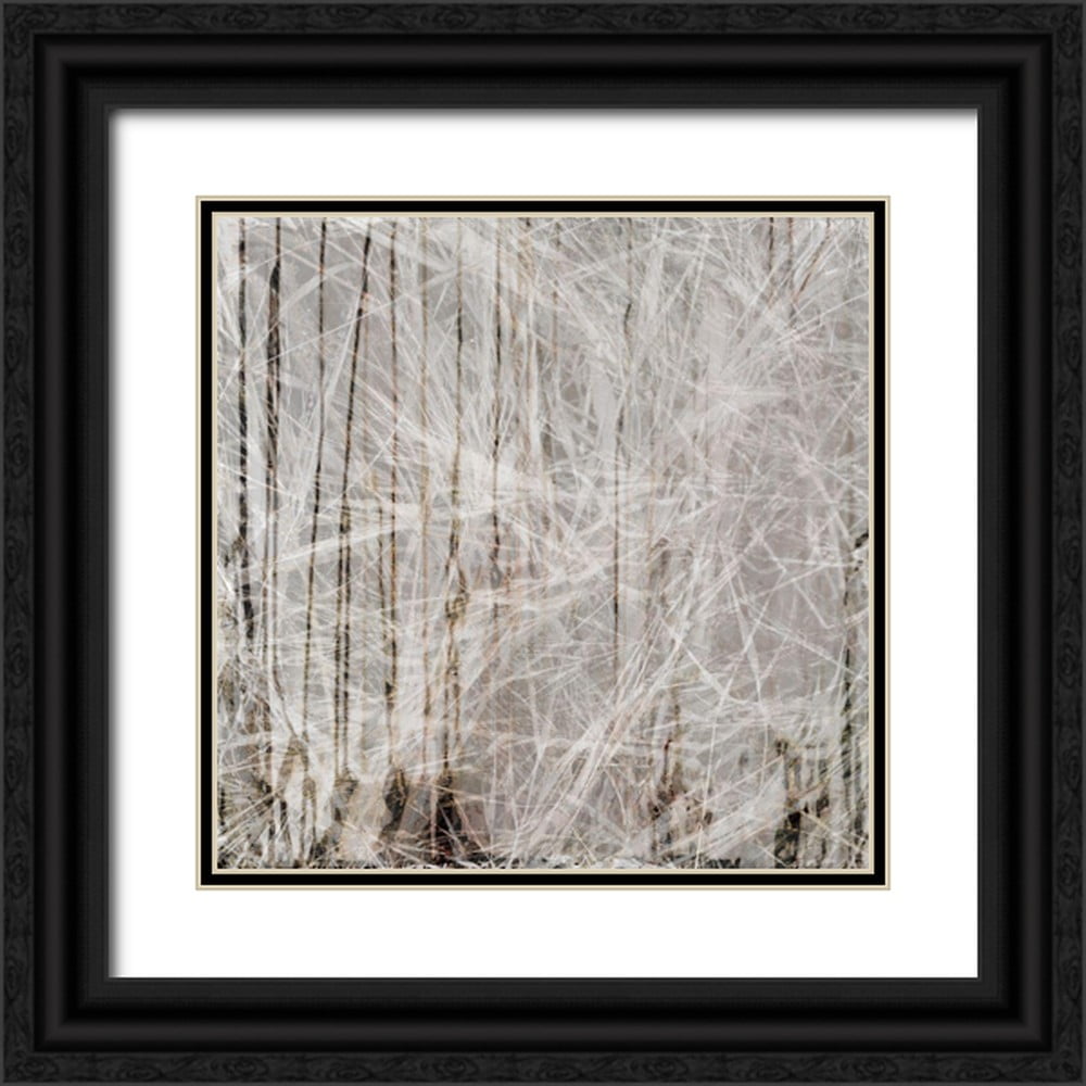 Aryai, Sia 20x20 Black Ornate Wood Framed with Double Matting Museum ...