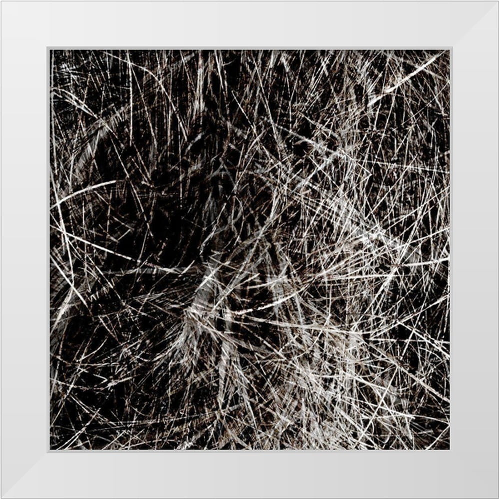 Aryai, Sia 26x26 White Modern Wood Framed Museum Art Print Titled ...