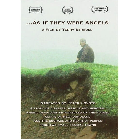 As If They Were Angels (DVD), Random Media, Documentary - Walmart.com