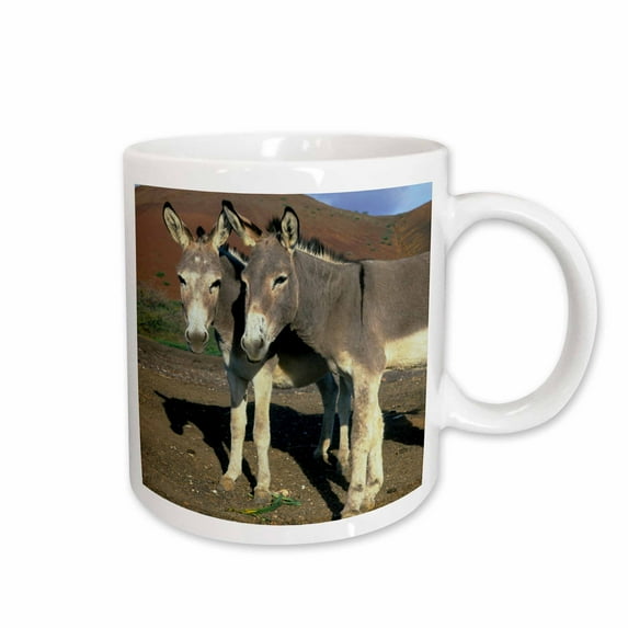 3drose, Ascension Island, Donkey Wildlife - Oc20 Ksc0007 - Kevin ...