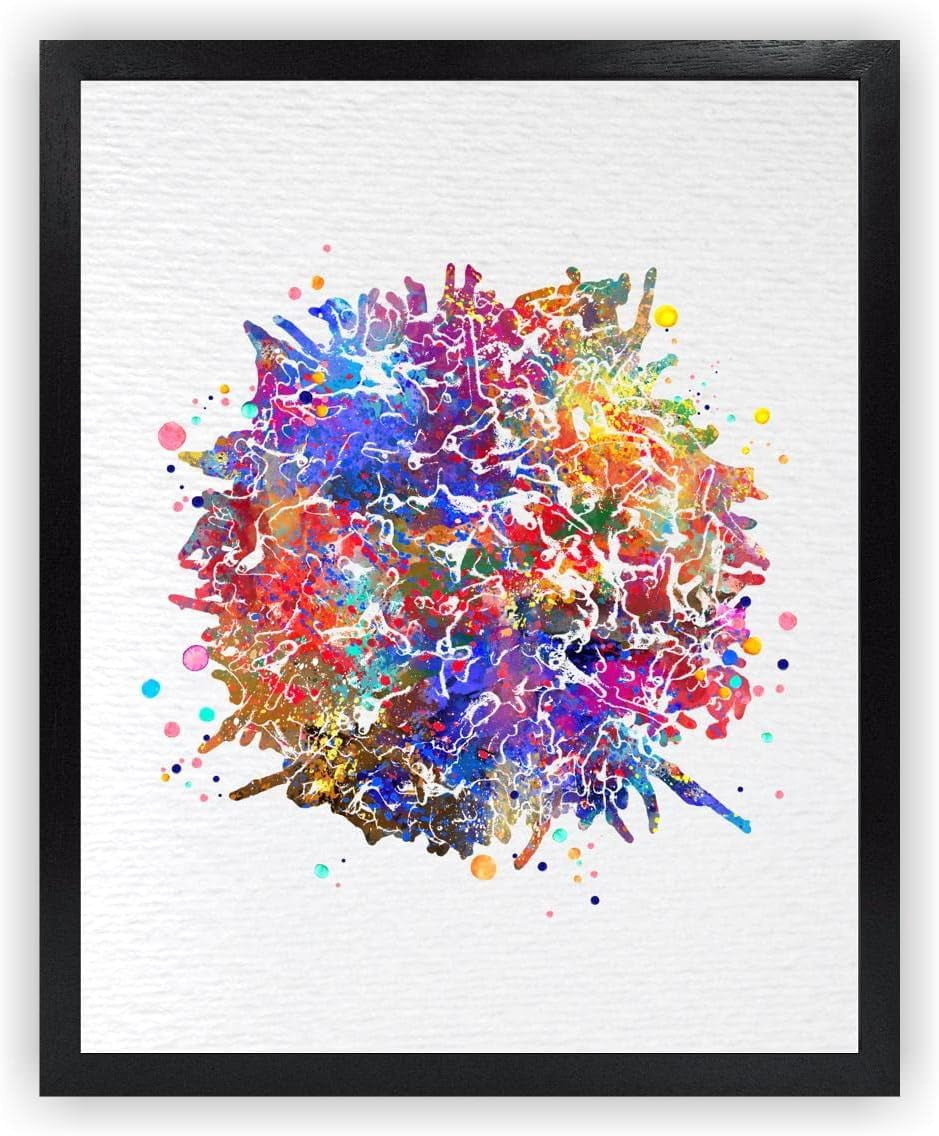 Asdg12s 11X14 Un T-Cell Immune Cells Medical Art Science Histology T ...