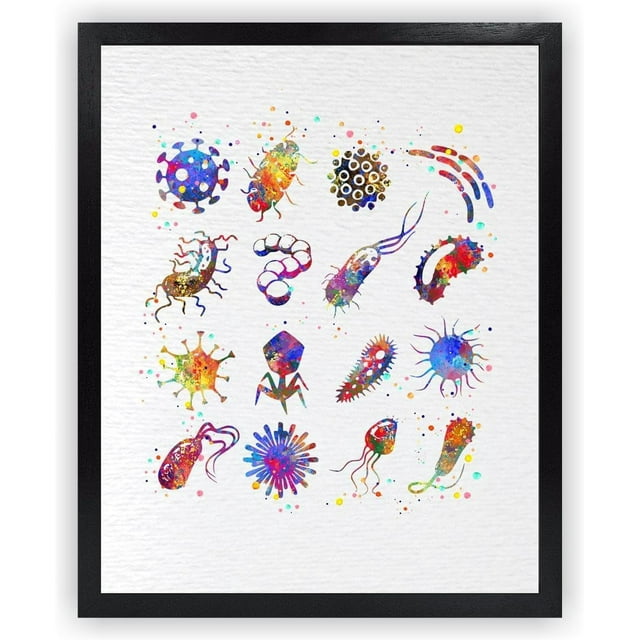 Asdg12s 11X14 Unframed Bacteria Watercolor Art Print Biology Medical ...