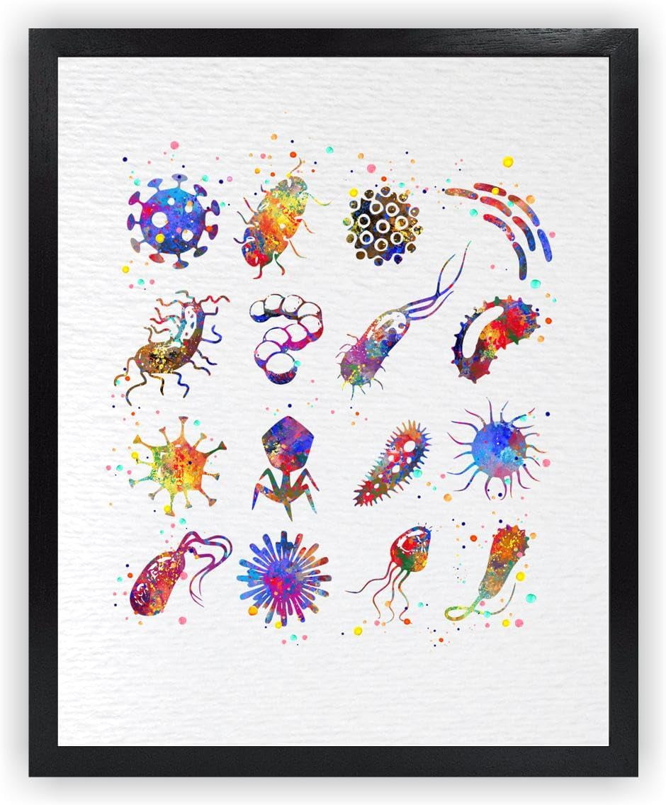 Asdg12s 11X14 Unframed Bacteria Watercolor Art Print Biology Medical ...