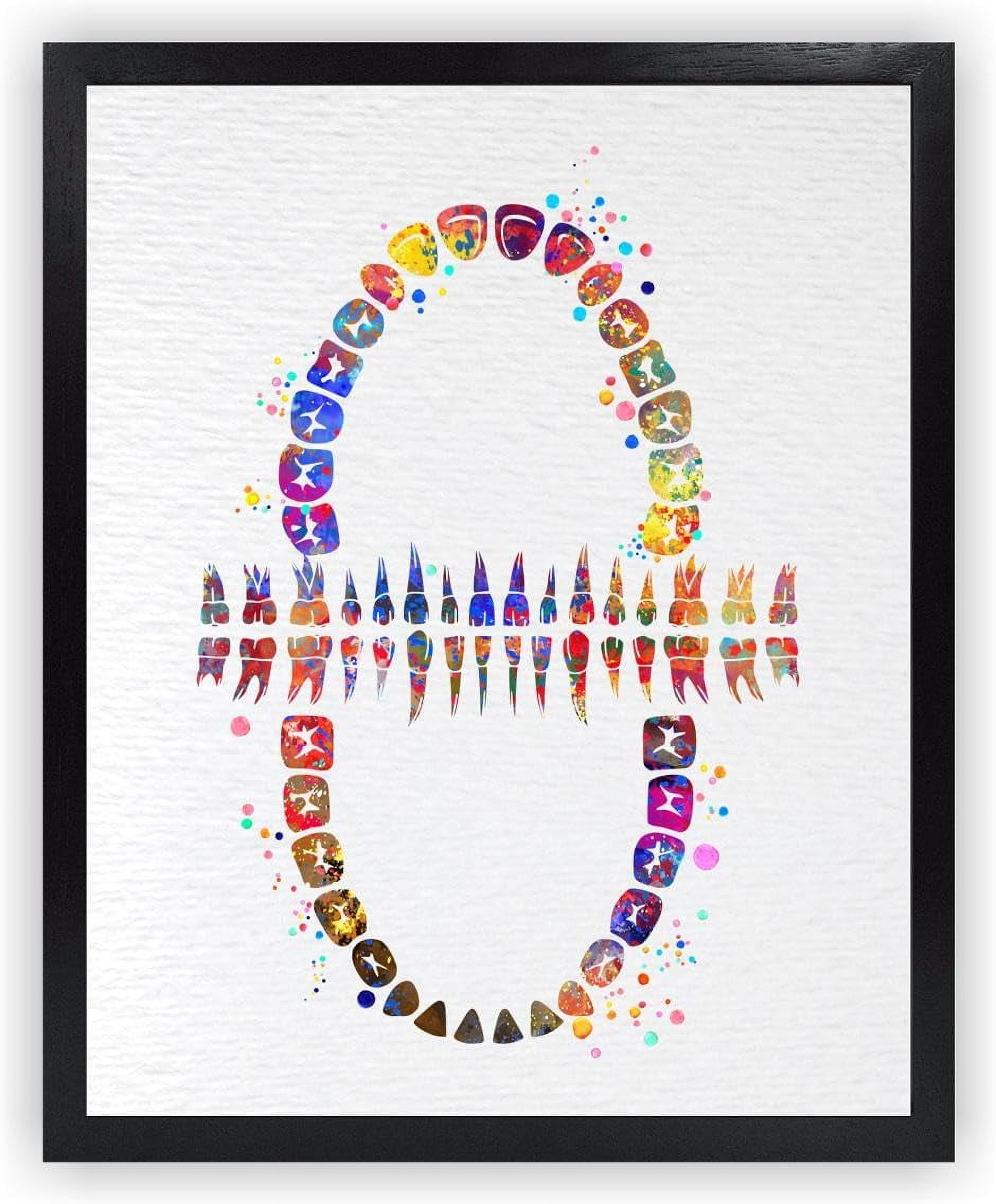 Asdg12s 11X14 Unframed Tooth Chart Anatomical Art Dental Clinic ...