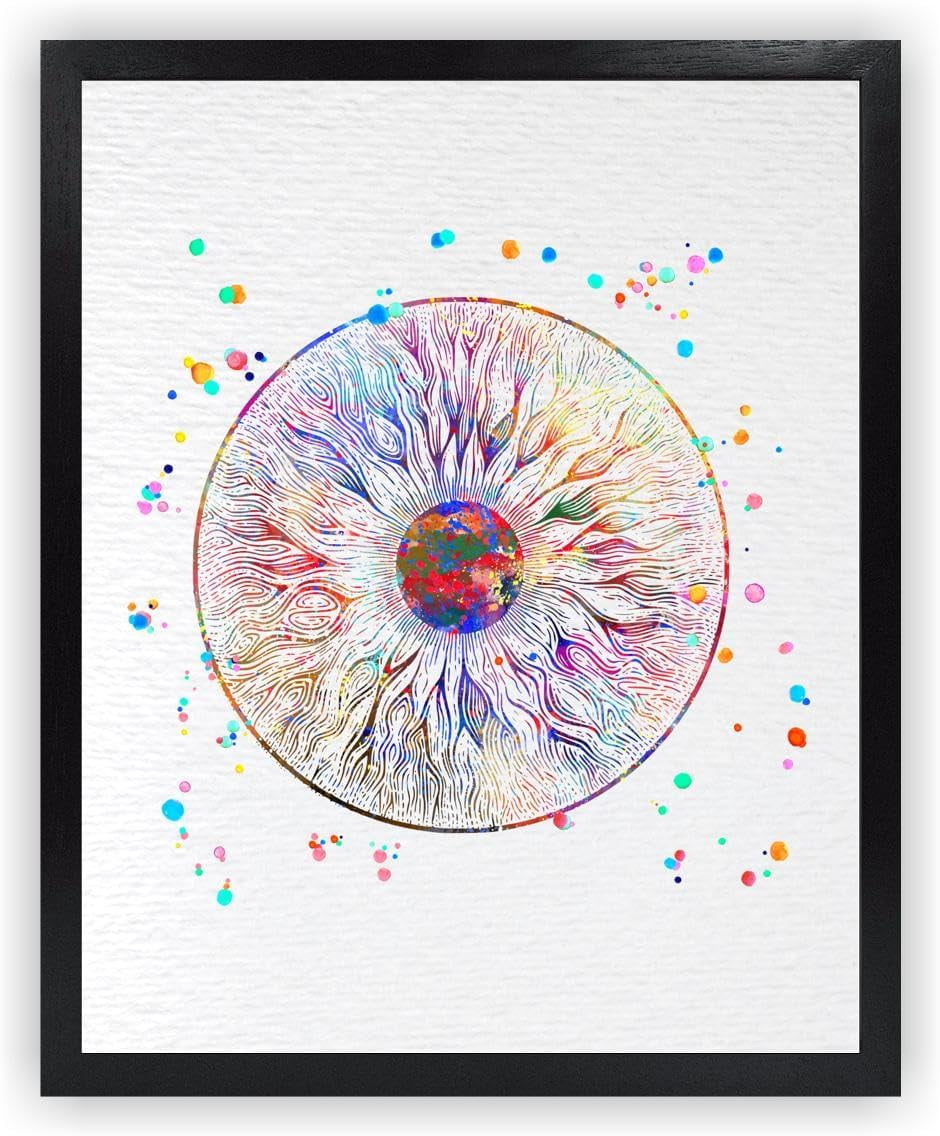 Asdg12s 8X10 Un Iris Human Eye Blood Vessels Ophthalmology Clinic ...