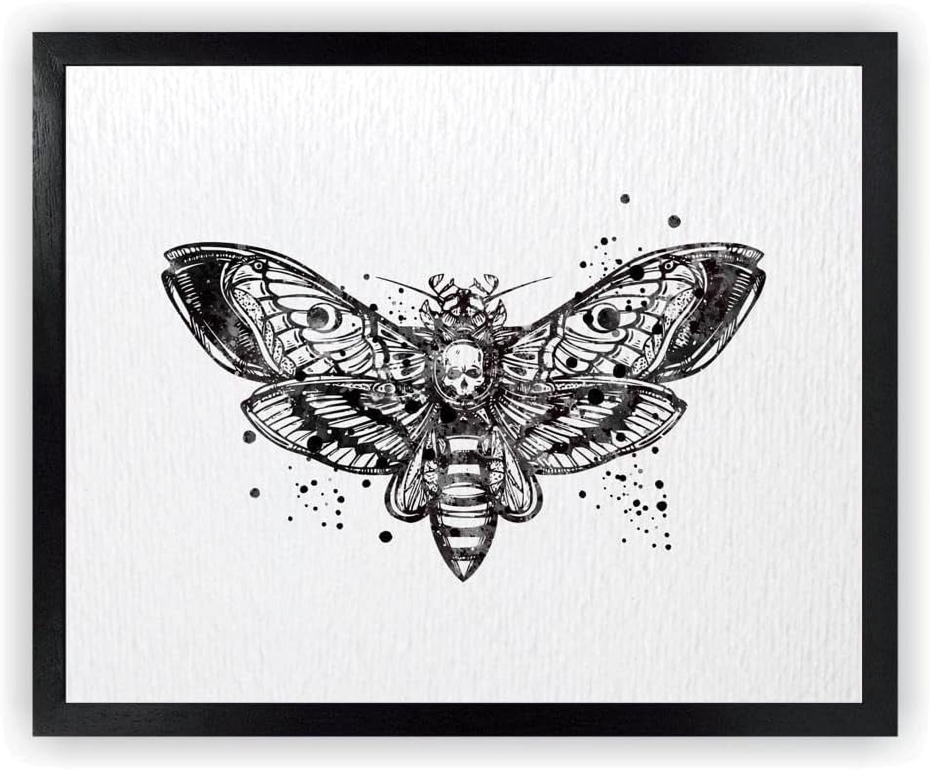 Asdg12s-8X10 Unframed Death Head Hawk Moth Insect Totem Animal Science ...