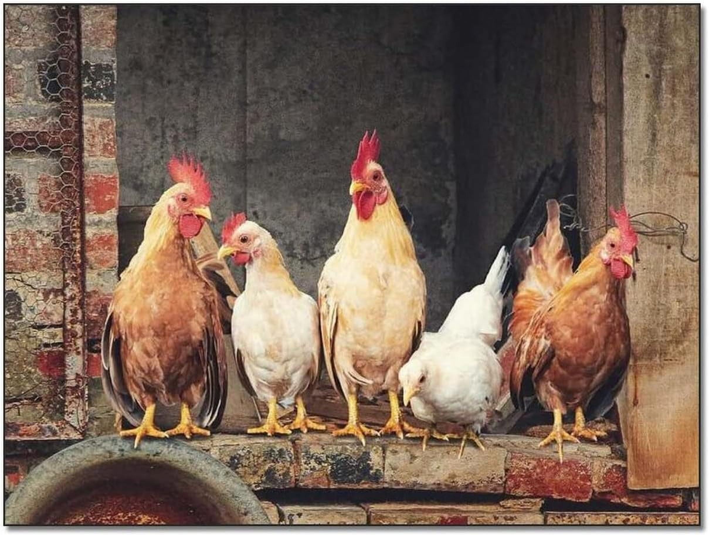 Asdg12s-Animal Poster Rooster Decor Wall Art Farm Animals Decor Poster ...