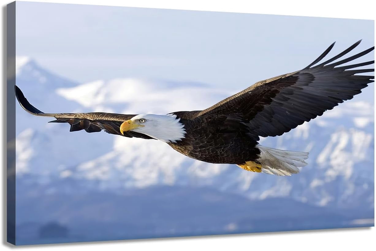 Asdg12s-Bald Eagle Poster, Flying Bird Wildlife, Canvas Wall Art For ...