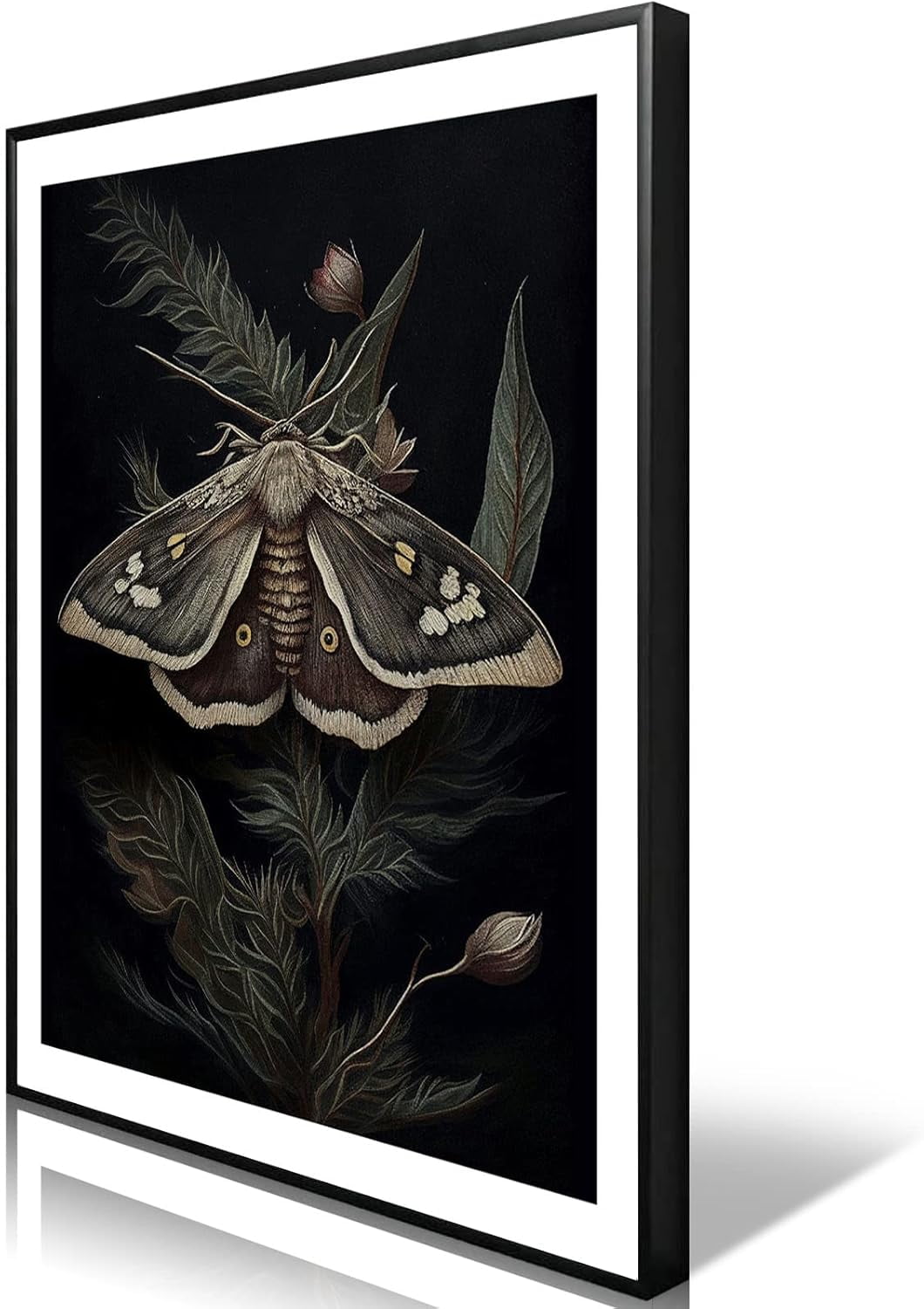 Asdg12s-Black Framed Art Vintage Insect Moth Aesthetic Room Poster ...