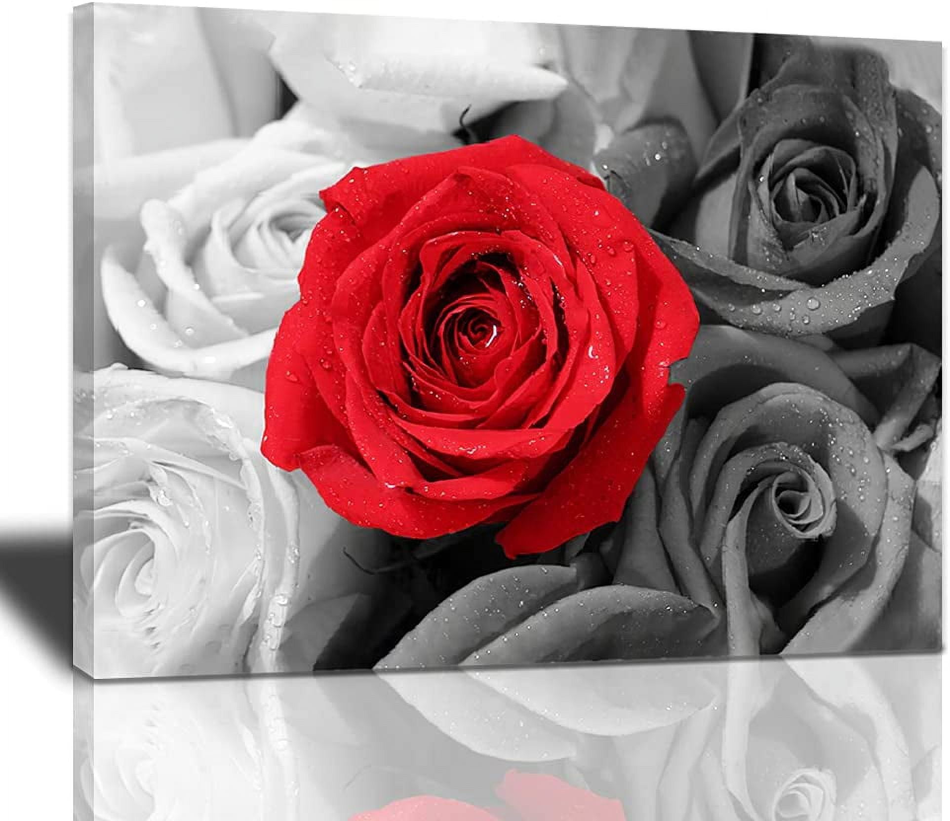 Asdg12s-Black White And Red Rose Canvas Wall Art, Abstract Rose Flowers ...