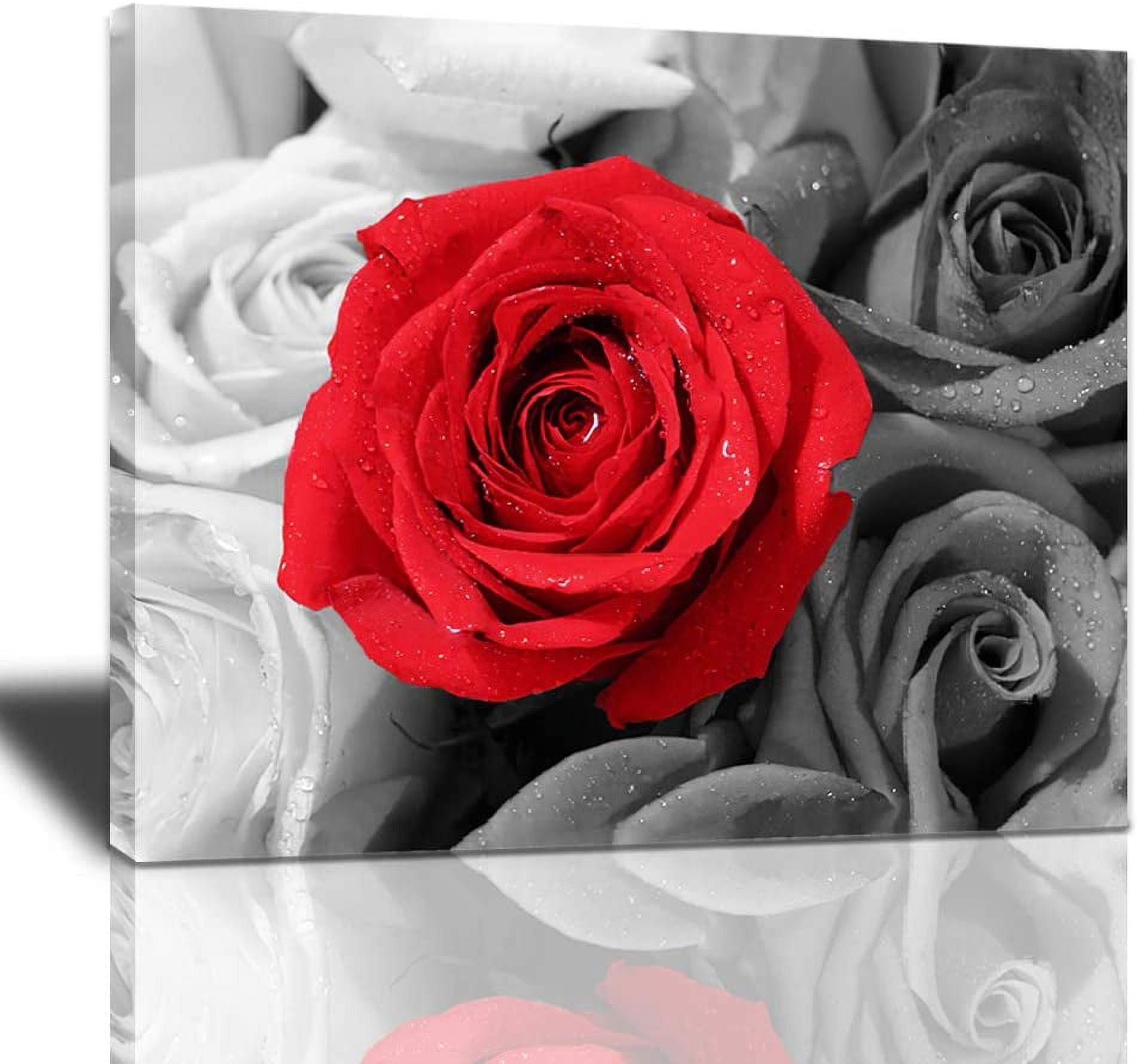 Asdg12s-Black and White Red Rose Wall Art Rose Flower Picture Wall ...