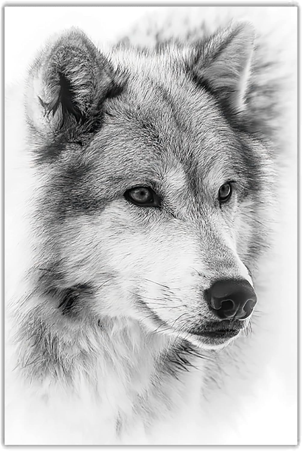 Asdg12s-Black and White Wolf Canvas Poster Modern Minimalism Style ...