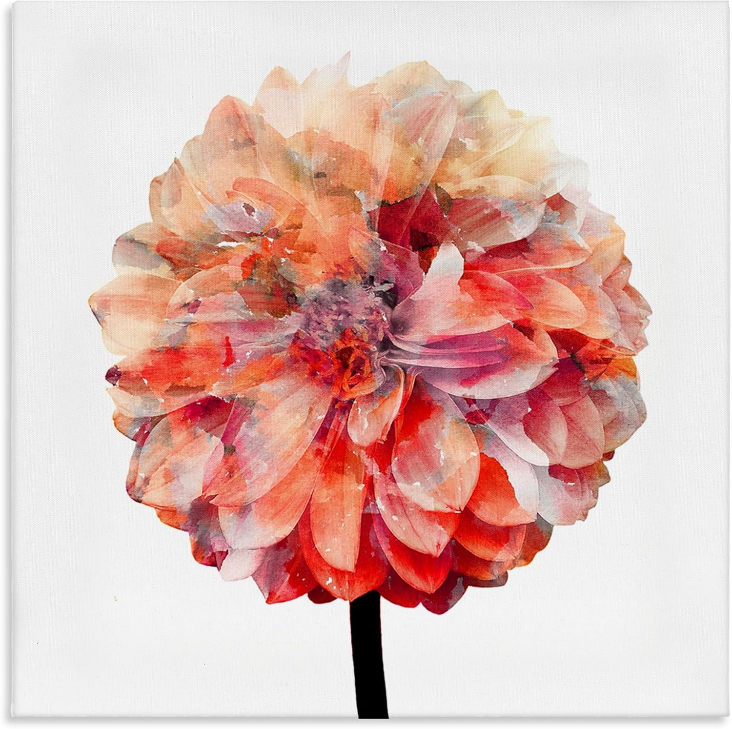 Asdg12s-Bright Coral Watercolor Bloom Dahlia Flower, Design by Kimberly Allen Black Wall Art ...