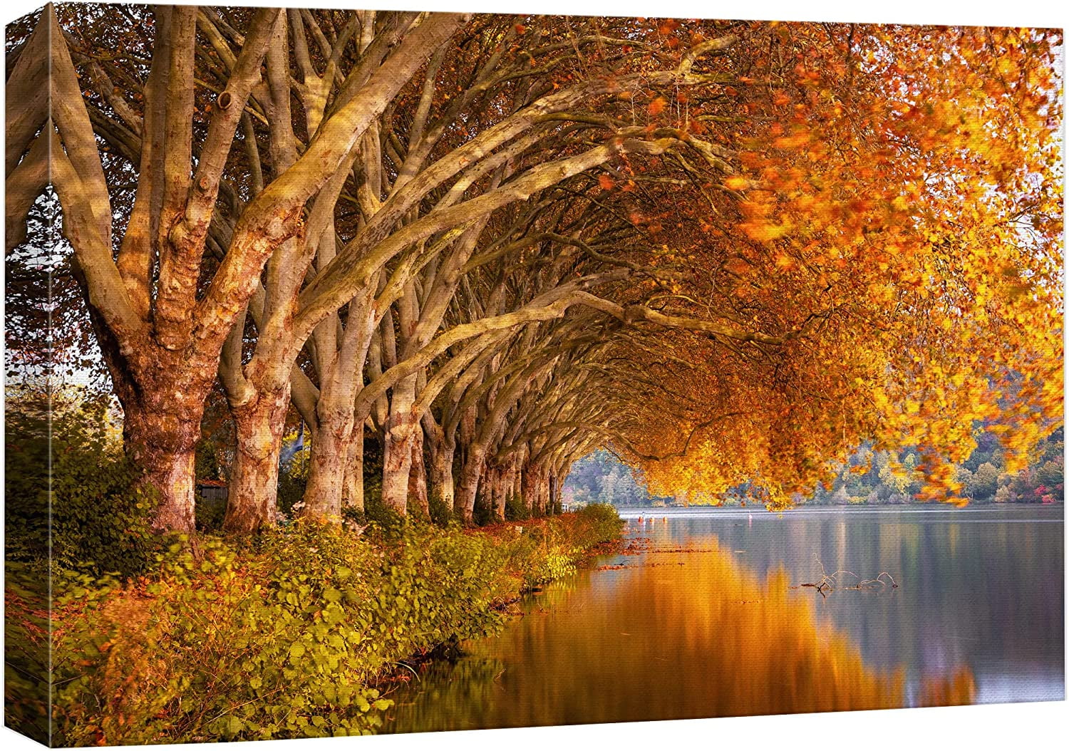 Asdg12s-Canvas Print Wall Art Autumn Fall Orange Leaf Forest Lake ...